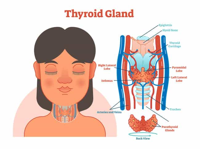 thyroid cancer treatment uk